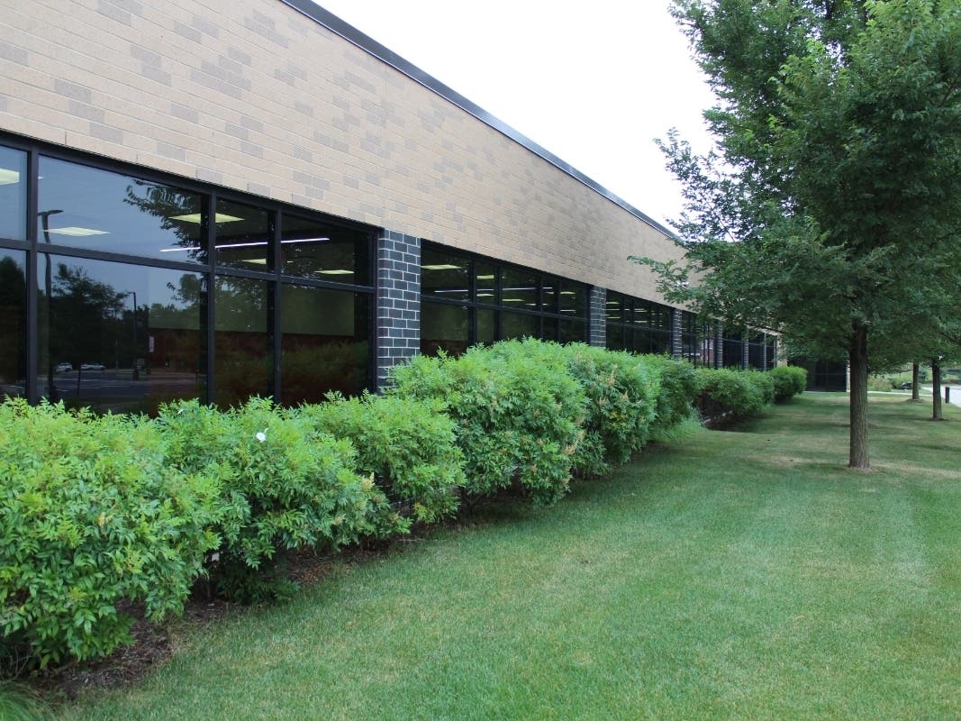 Shepard High School Beautifies Campus | Oak Lawn, IL Patch