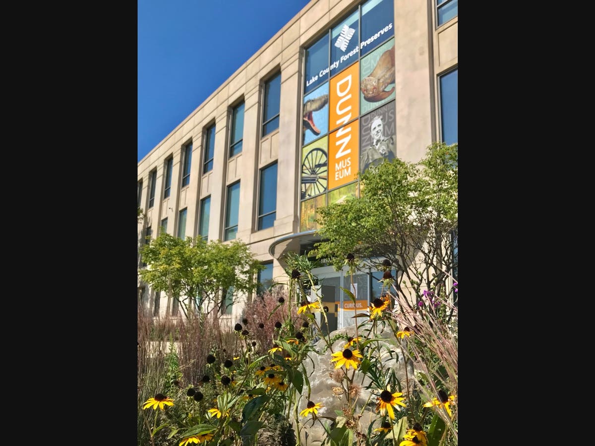 Dunn Museum Offers Free Admission To Celebrate 5-Year Anniversary ...