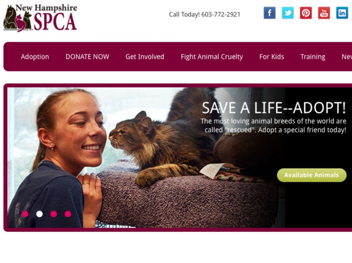 Hampton, Portsmouth, Exeter Residents Elected to NH SPCA Board ...