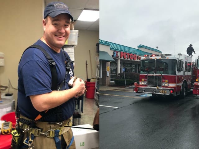 Some Animals Perish, Others Saved During Fire At Petco In Concord ...
