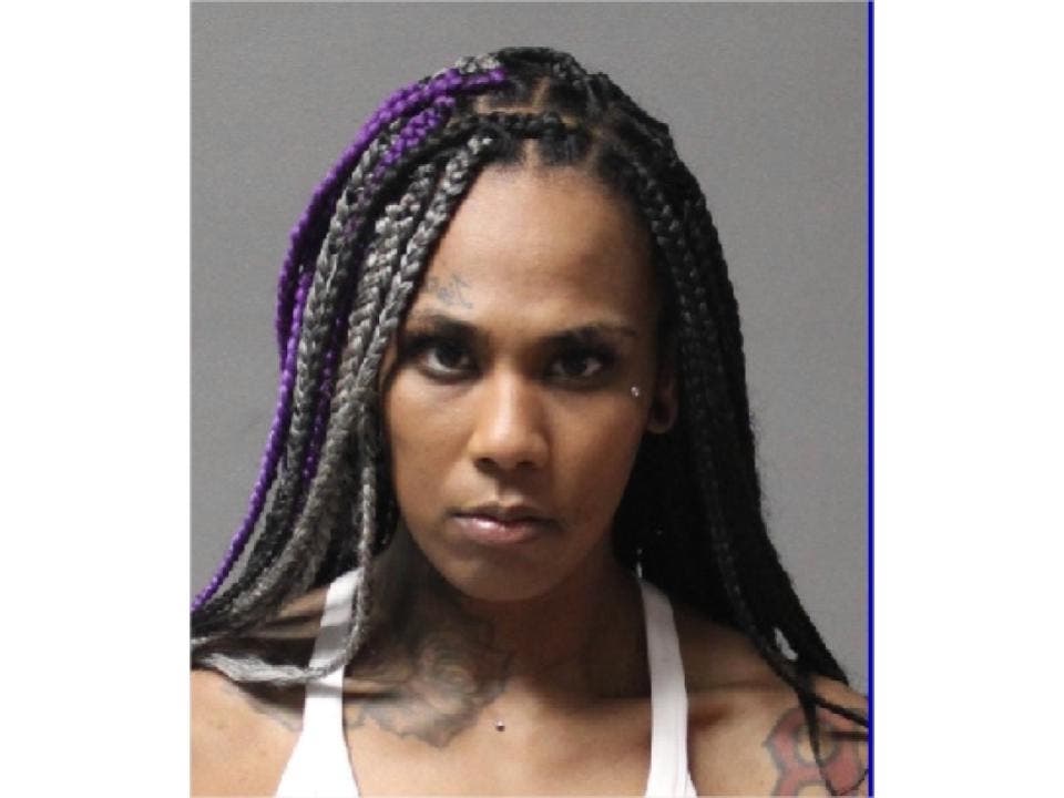 Hudson Felon Indicted On Drug, Stolen Gun Possession Charges ...