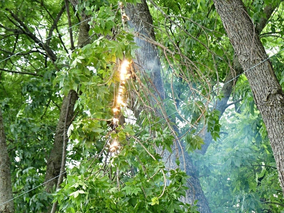 More Than 20,000 Without Power In New Hampshire; Tree On Wires Causes ...