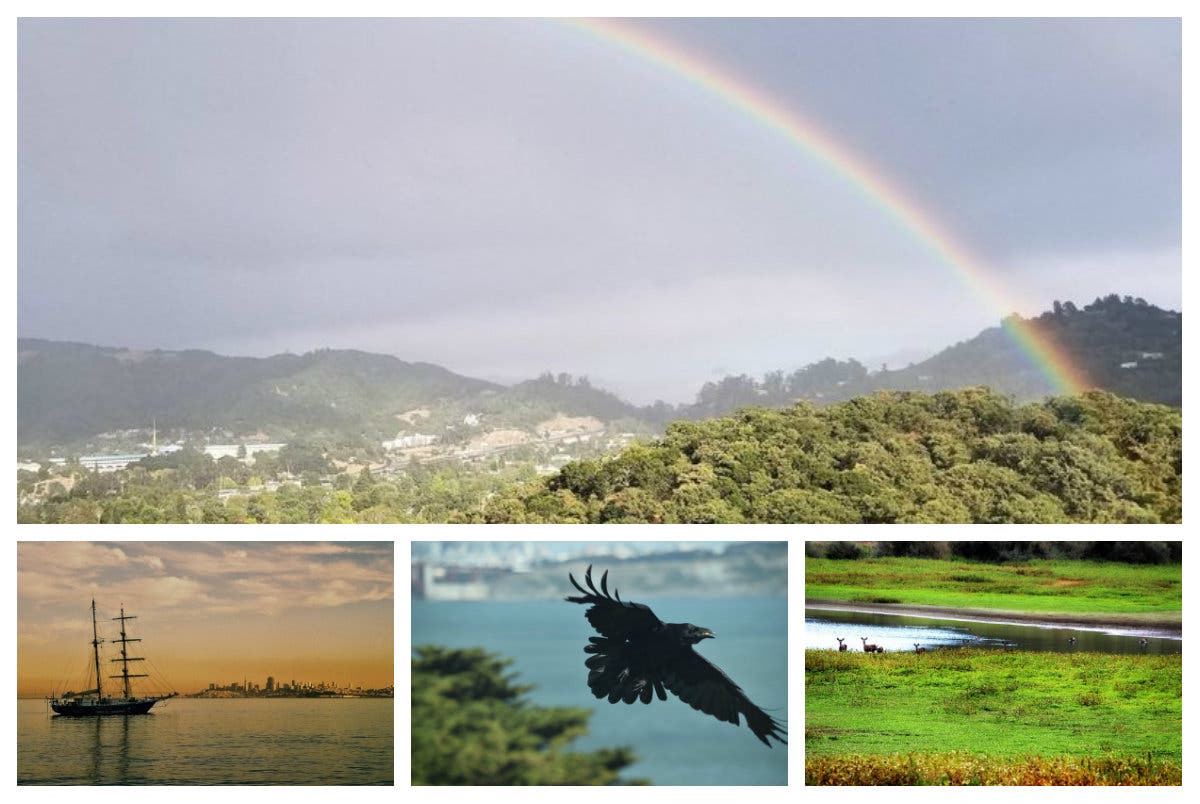 Your 2017 Pictures: Marin County Photos Of The Year | San Rafael, CA Patch