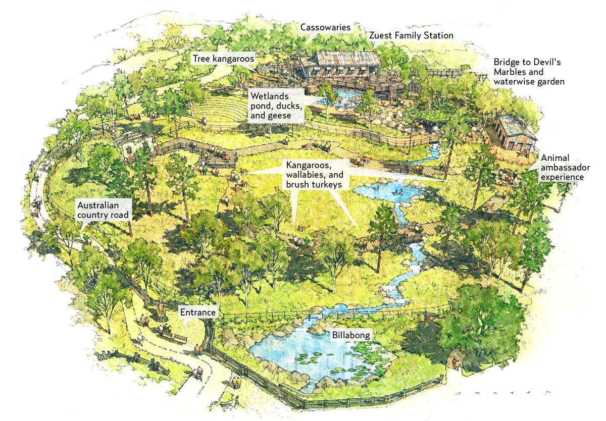 Walkabout Australia Opens Friday At San Diego Zoo Safari Park ...