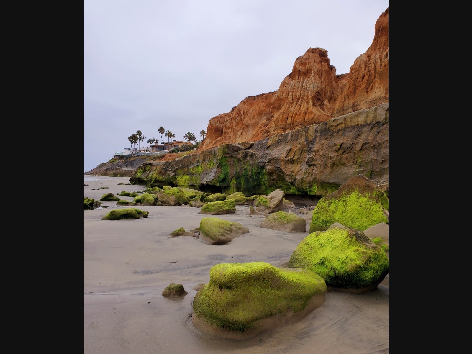 Beauty Of Carlsbad: Photos Of The Day | Carlsbad, CA Patch