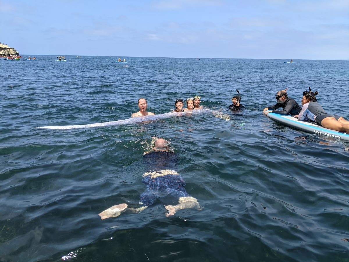 Rare Deep-Sea 'Doomsday Fish' Found In Southern California | San Diego ...