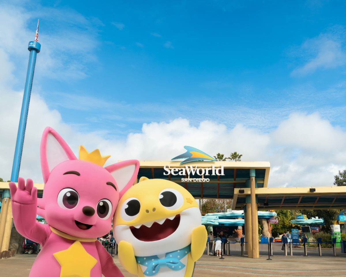 Baby Shark To Make A Splash At SeaWorld San Diego | San Diego, CA Patch