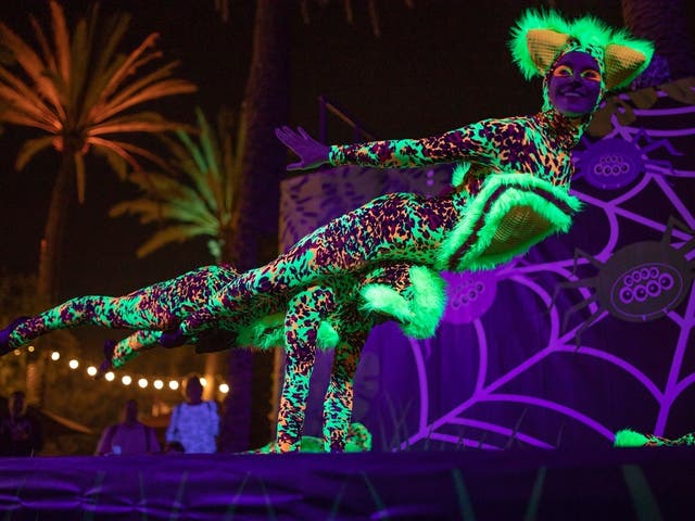 15 Things To Do With Your Kids This Fall In SoCal | San Diego, CA Patch