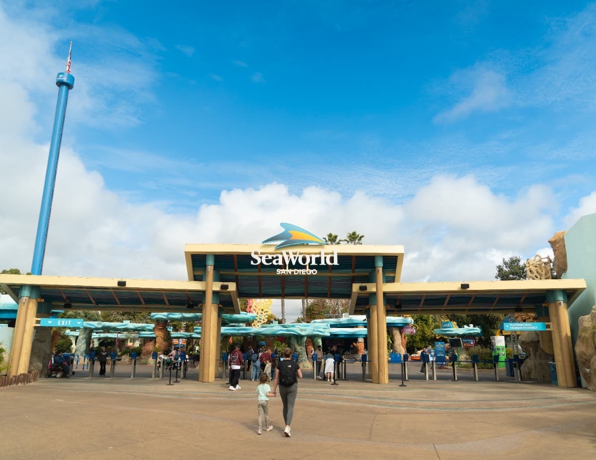 SeaWorld San Diego Offers Free Teacher Fun Cards, Discounted Preschool ...