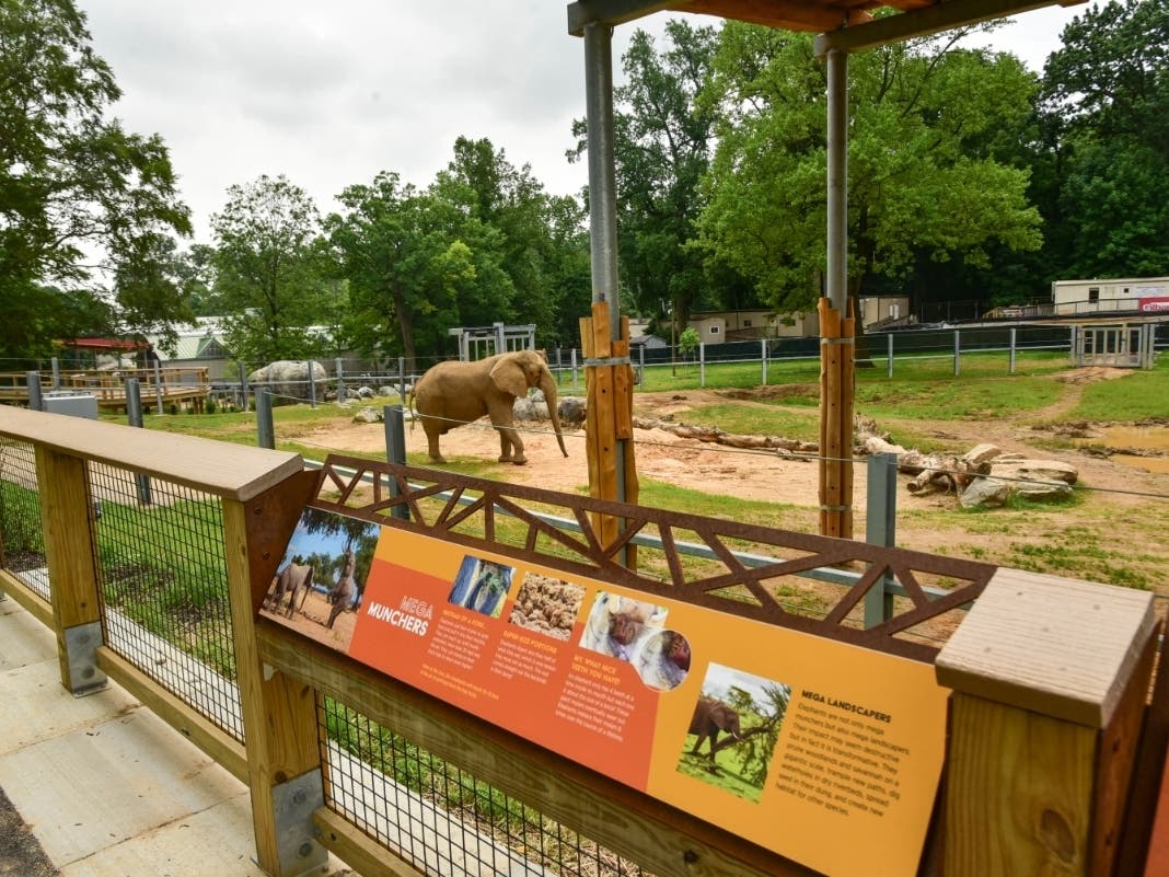 Maryland Zoo Reveals $20M Elephant, Giraffe, Lion Home Makeover ...