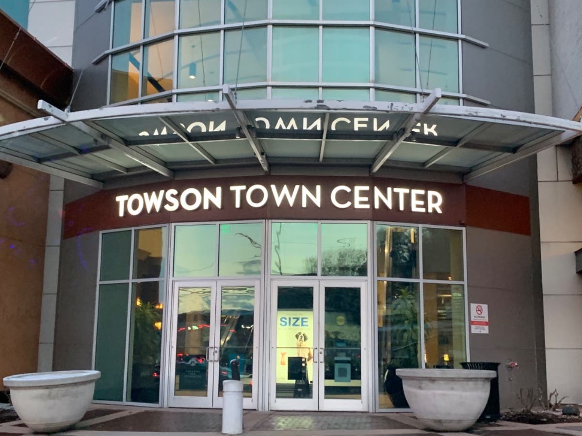 🌱 Homicide Arrest + Apple Store Unionizing: Towson News | Towson, MD Patch