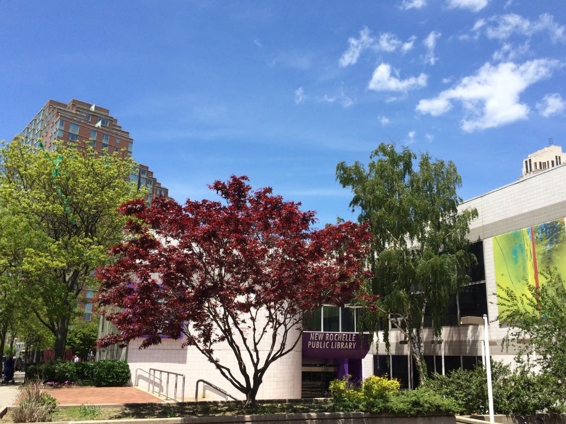 New Rochelle Library Sets Summer Hours | New Rochelle, NY Patch