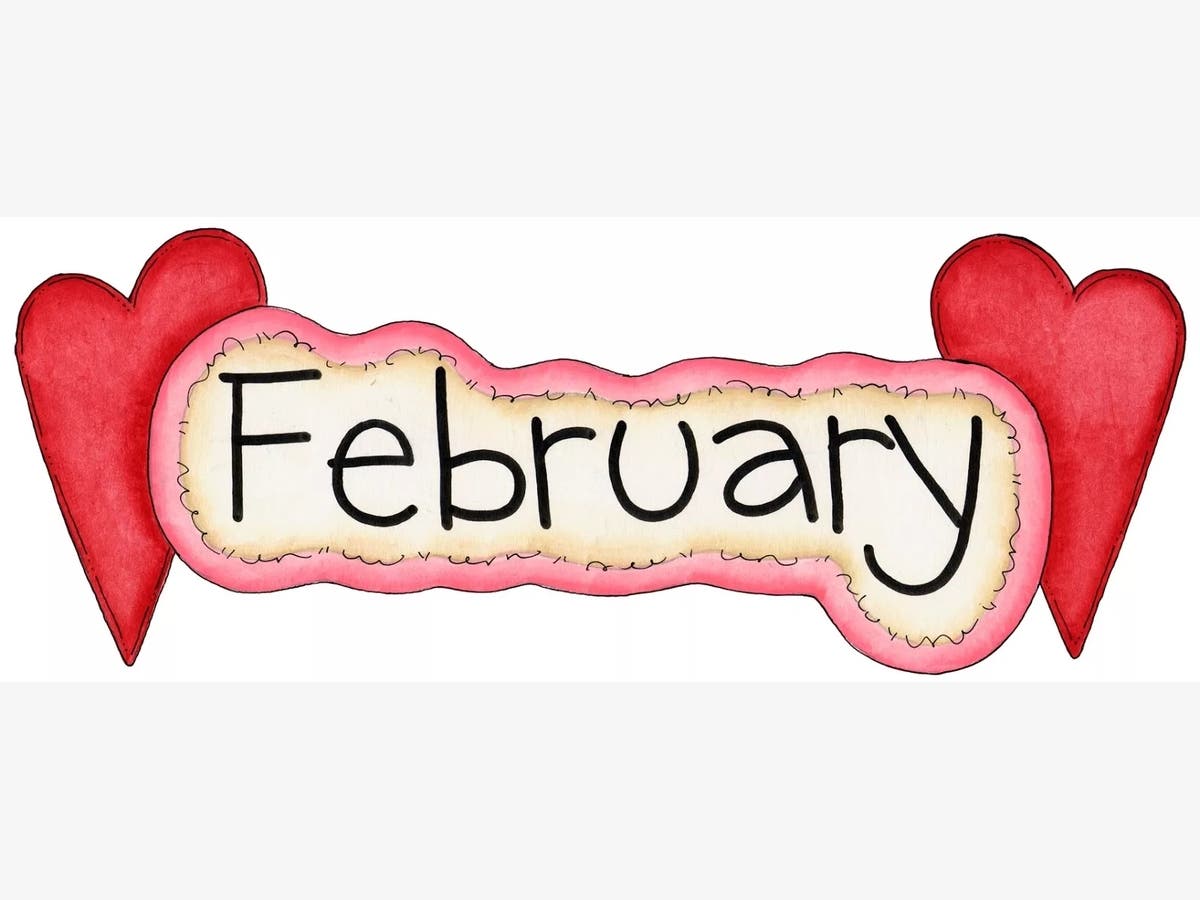 February Busy Holiday Month Palm Harbor FL Patch