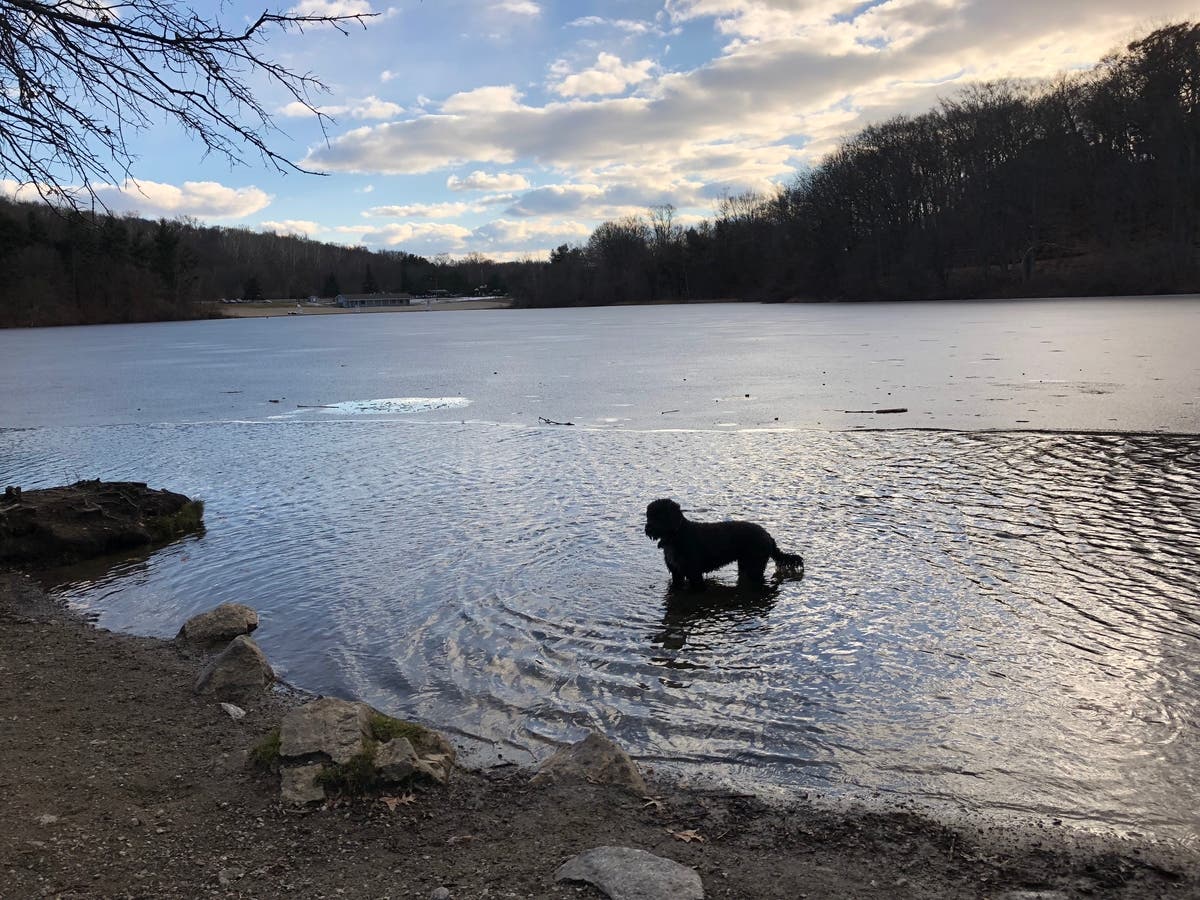 Hiking Trails, Water Park, Lake Mohegan- Take Tours! | Fairfield, CT Patch