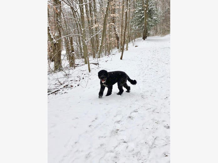 Hiking Trails, Water Park, Lake Mohegan- Take Tours! | Fairfield, CT Patch