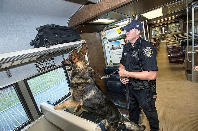 First Mass-Transit K9 Training Center in the US Opens in Stormville ...