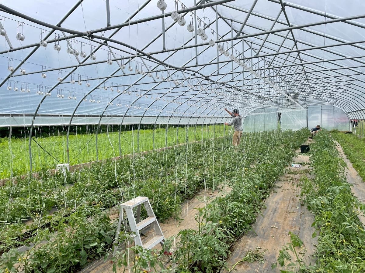 SPACE On Ryder Farm Opens Farmstand For 2023 Season | Southeast, NY Patch