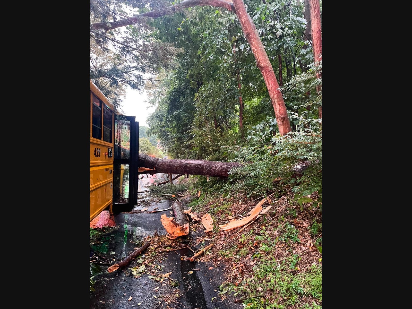 Tree Falls On School Bus As Severe Weather Pummels Hudson Valley ...
