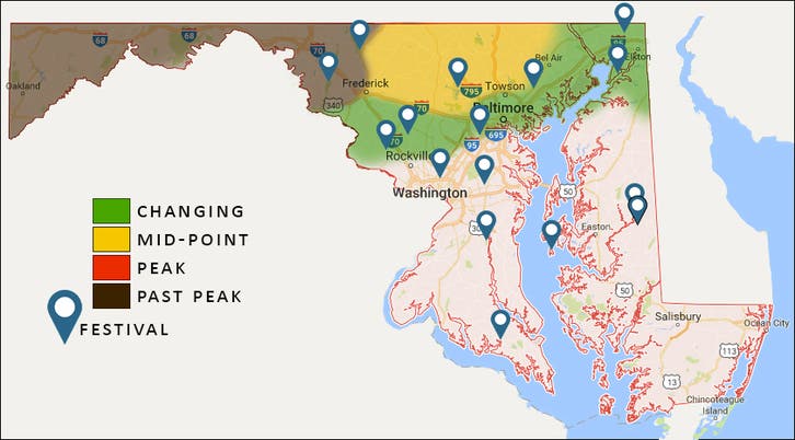 Maryland Fall Foliage Update: Where Leaves Are Turning | Annapolis, MD ...
