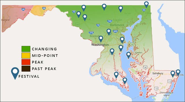 Fall Foliage Peak Map, Plus MD Festivals For Oct. 19-20 | Annapolis, MD ...