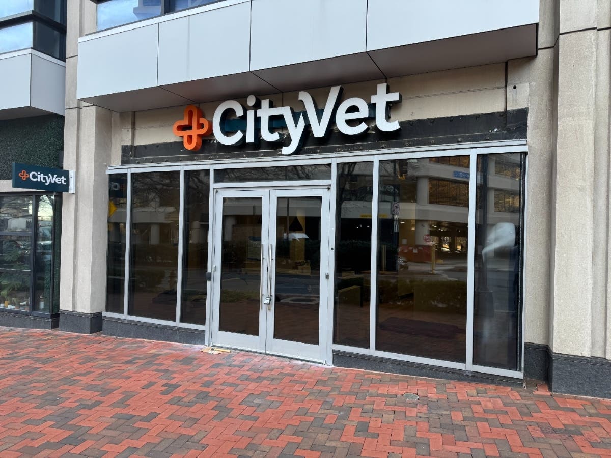 Cityvet Opens Its First Md Location In Moco Bethesda Md Patch