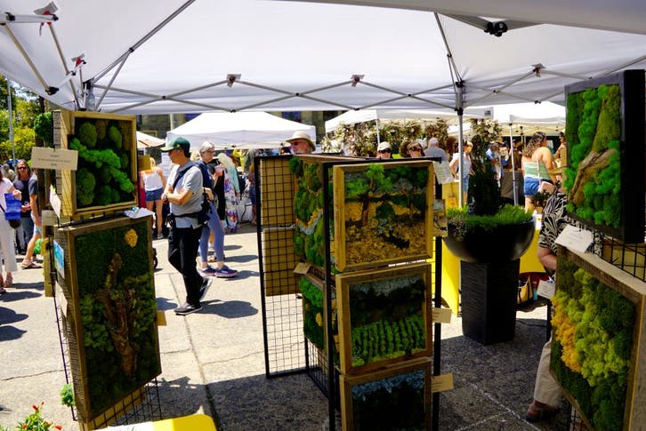 Jul 12 | Petaluma Art & Garden Festival | Petaluma, CA Patch
