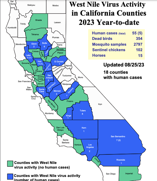 Get Ready For The Invasion Of The Ankle Biters | Los Angeles, CA Patch