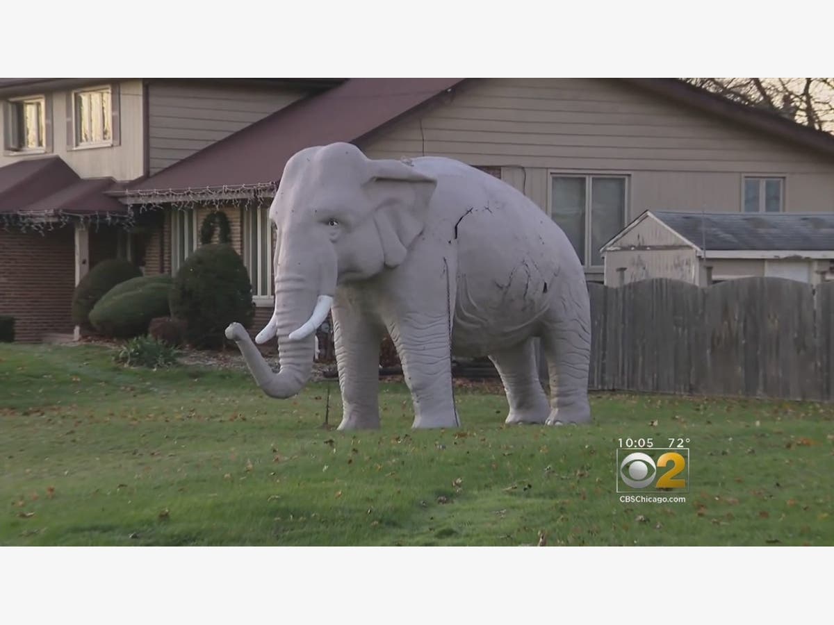 'Town Mascot' Elephant Destroyed By Arson: Video | Elmhurst, IL Patch