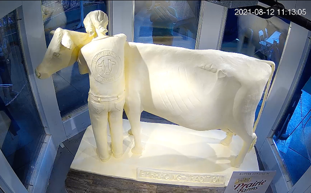 Pritzker Unveils 100th Butter Cow At Illinois State Fair | Springfield ...