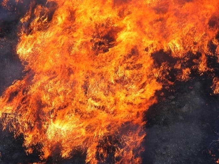 Bobcat Fire Prompts Evacuation Warning For San Gabriel Mountains | Los ...