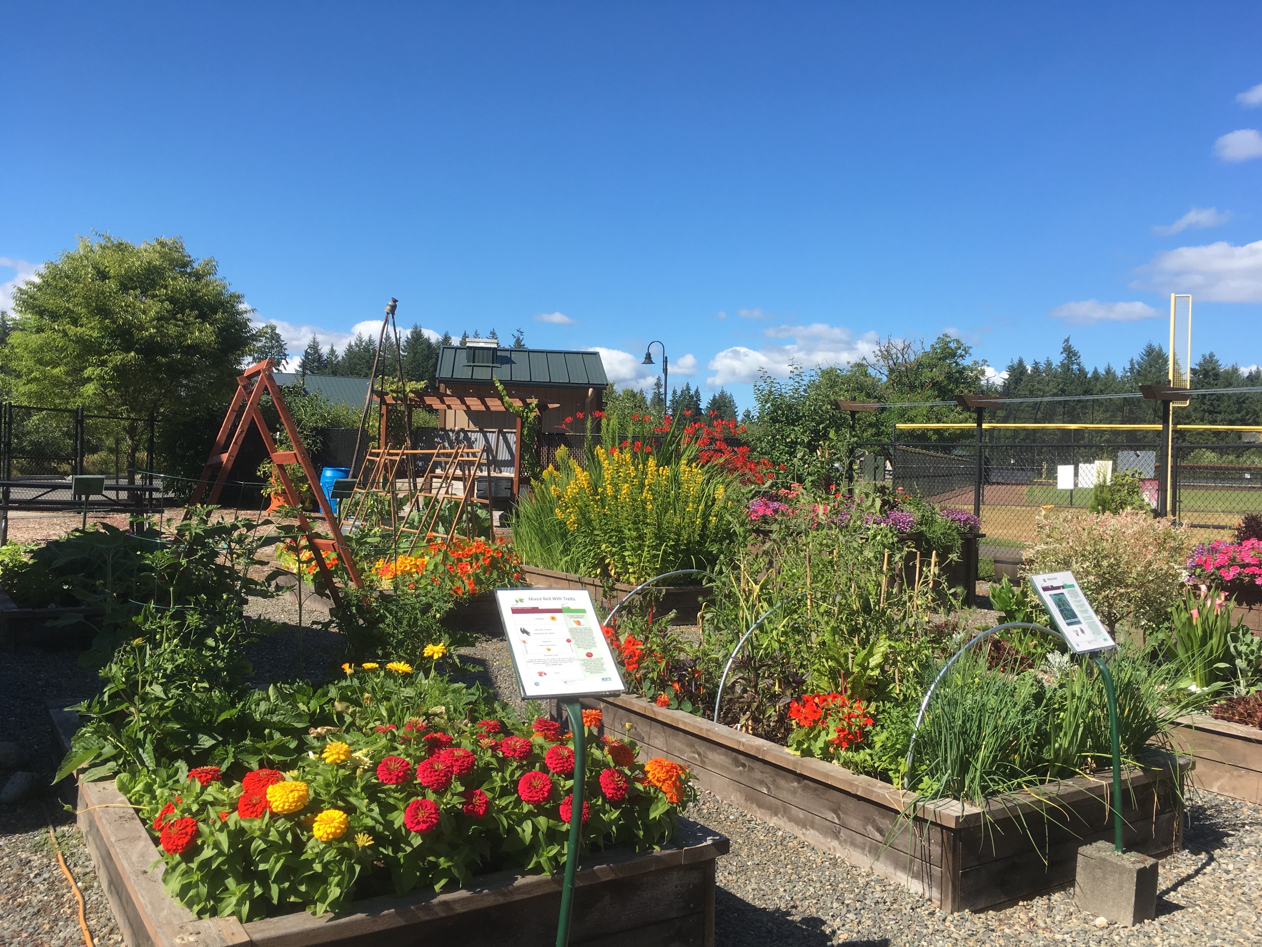 Jun 15 | Open Gardens and Master Gardener Plant Clinic | Gig Harbor, WA ...