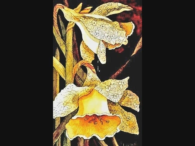 Botanical Art with Zentangle Style | Lemont, IL Patch