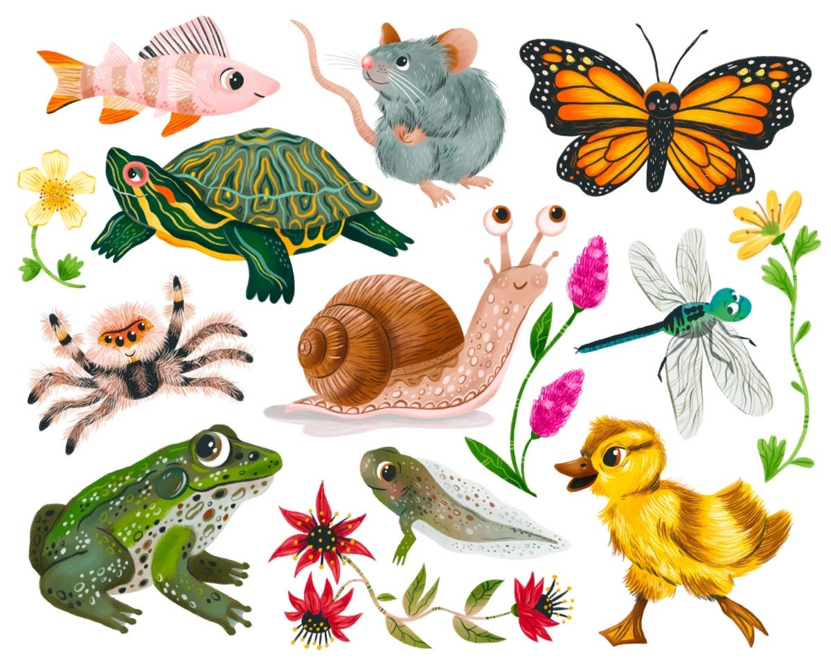 Children's Book & Procreate Design | Lemont, IL Patch