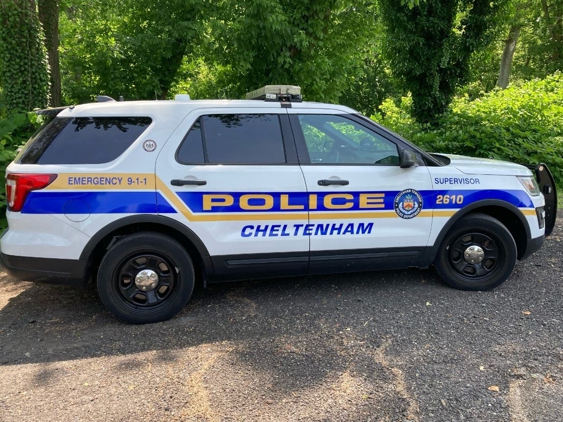 Montco Police Officer Aids Fawn That Fell Down Window Well | Abington ...