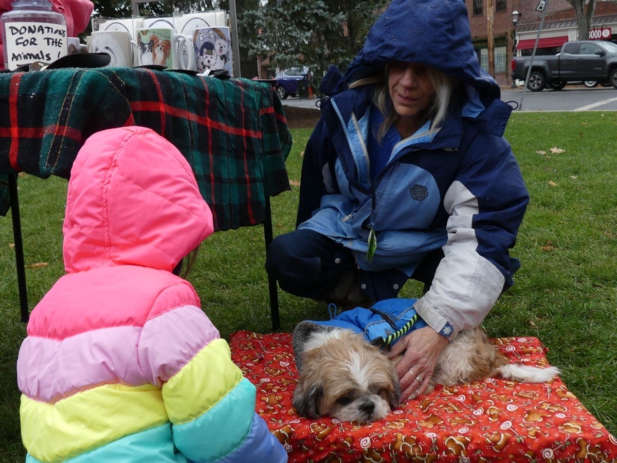 PHOTOS: Santa Comes To Downtown Fairfield | Fairfield, CT Patch