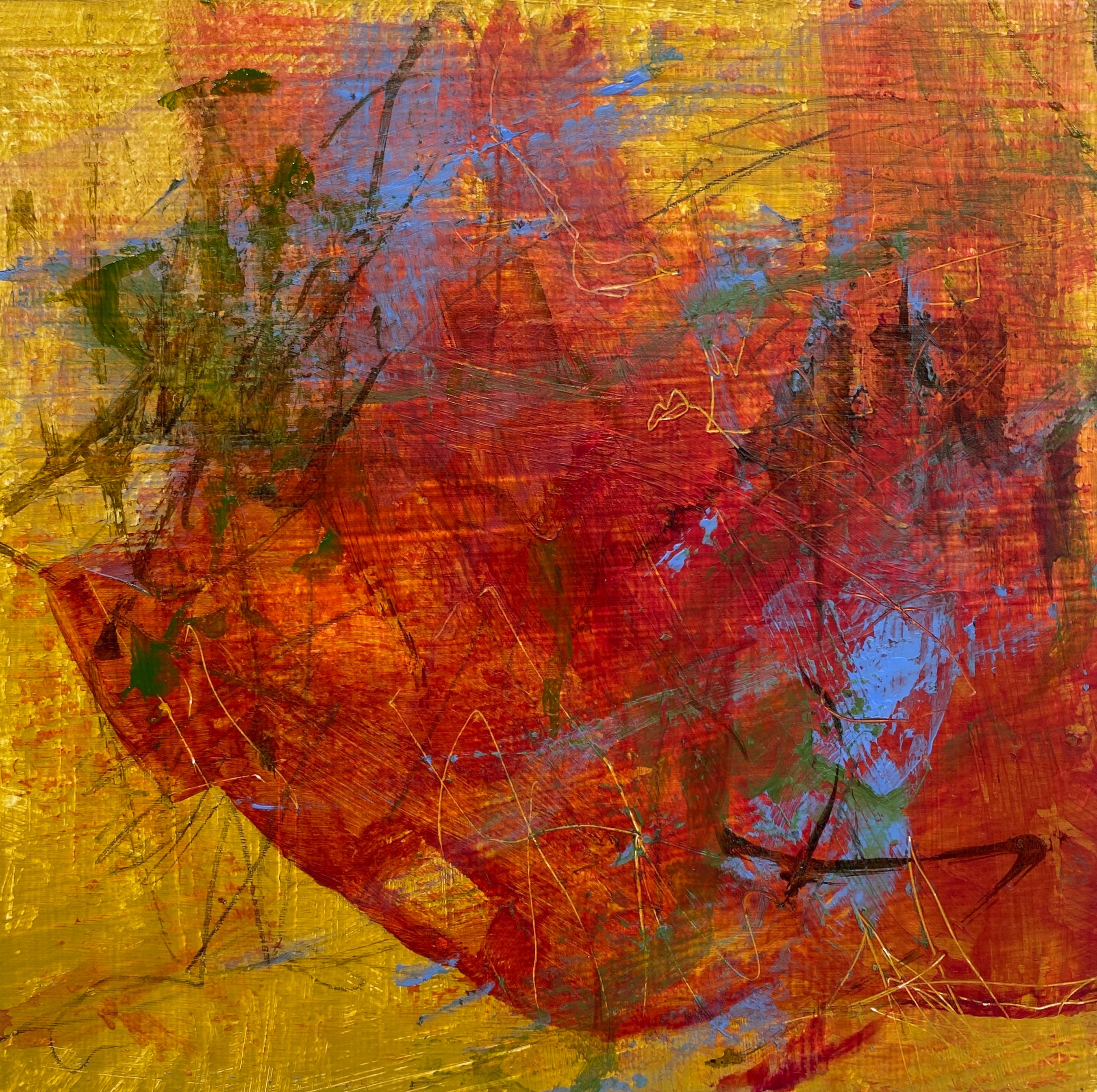 Feb 21 | Dawn DiCicco Cocktail Reception | Red Bank, NJ Patch