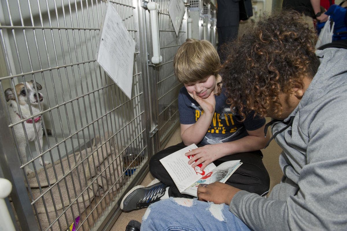Special Needs Students Read To Rescue Animals In New Camden County ...