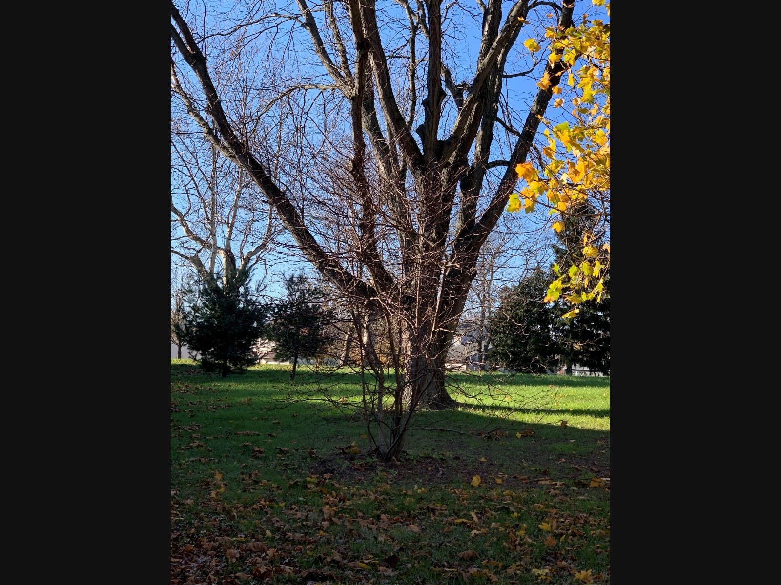 Fall In Cherry Hill: Share Your Photos With Patch | Cherry Hill, NJ Patch