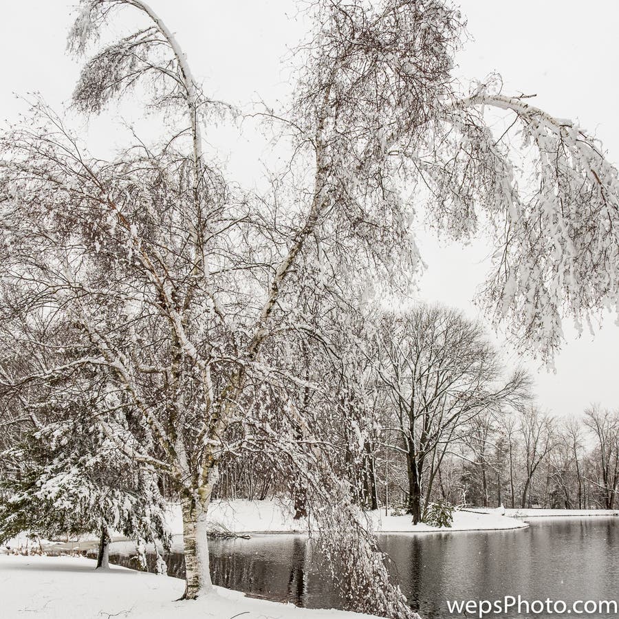 Endicott Park After Storm | Danvers, MA Patch