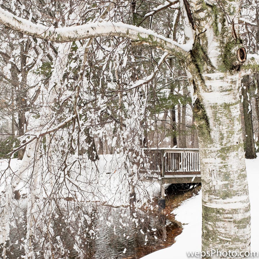 Endicott Park After Storm | Danvers, MA Patch