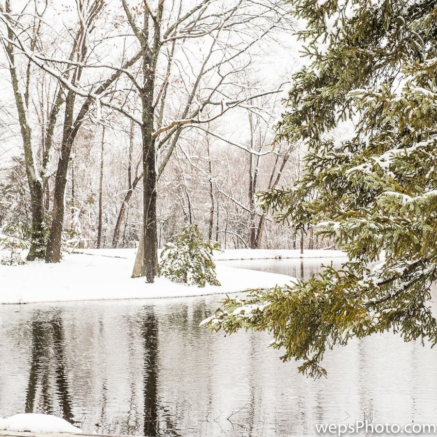 Endicott Park After Storm | Danvers, MA Patch